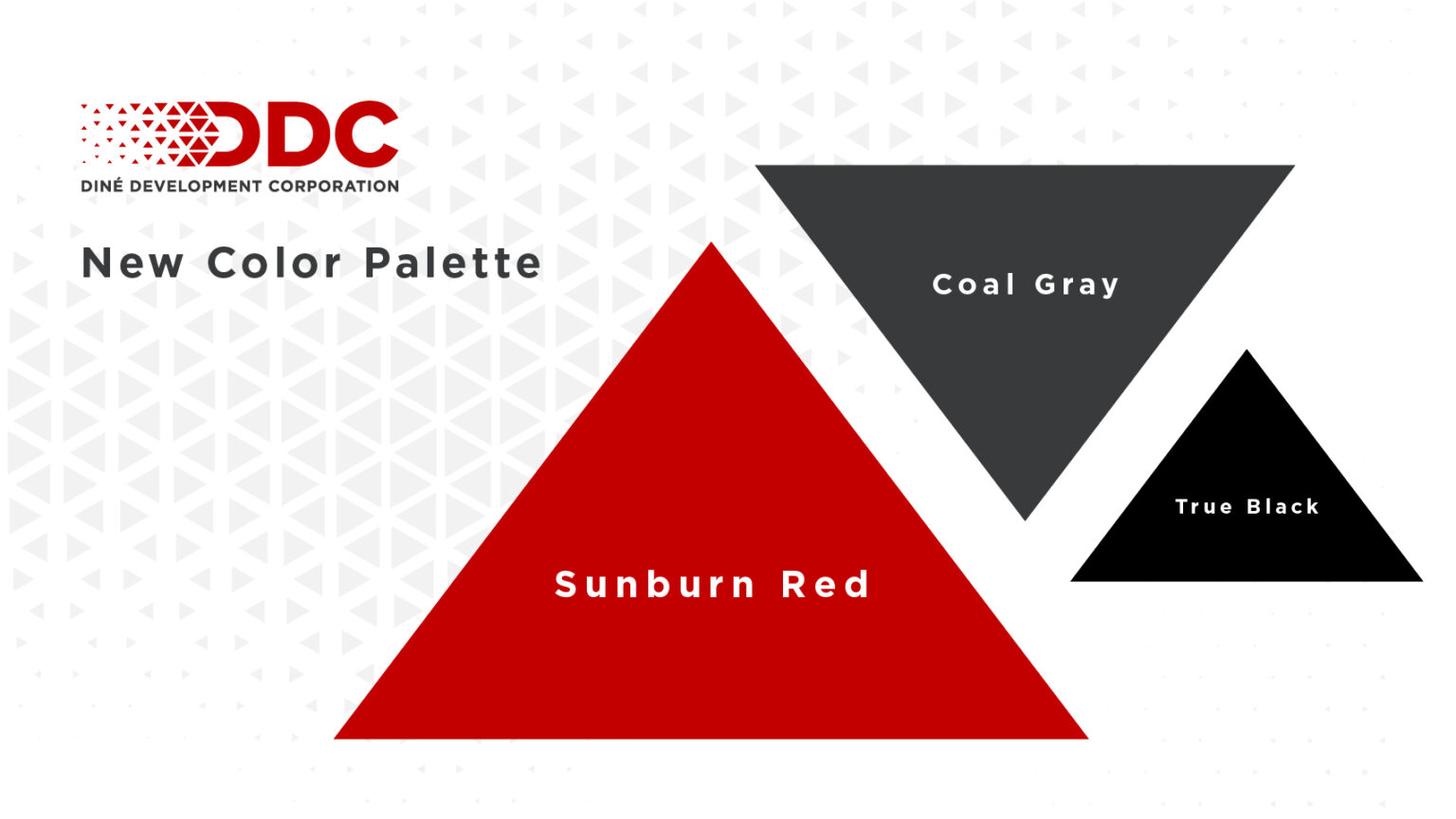 DDC Dream Catcher - Special Edition 2021 Issue - Navajo Nation ...